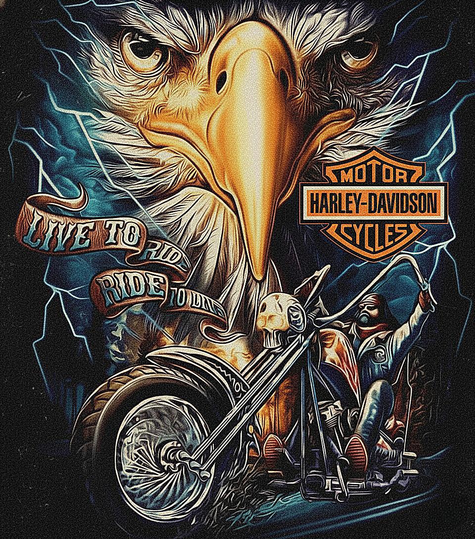 Retro Vintage Native American Motorcycle Art Indian, Harley,old Biker ...