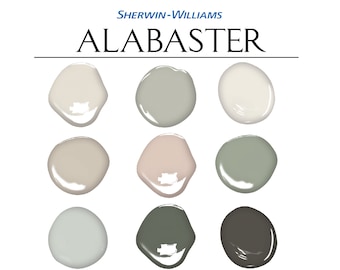ALABASTER Coordinating Colors Modern Interior Home Pre-packed Paint ...
