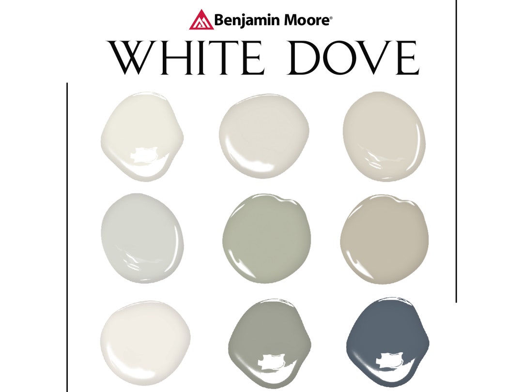 White Dove Paint Palette Benjamin Moore Color Palette White - Etsy