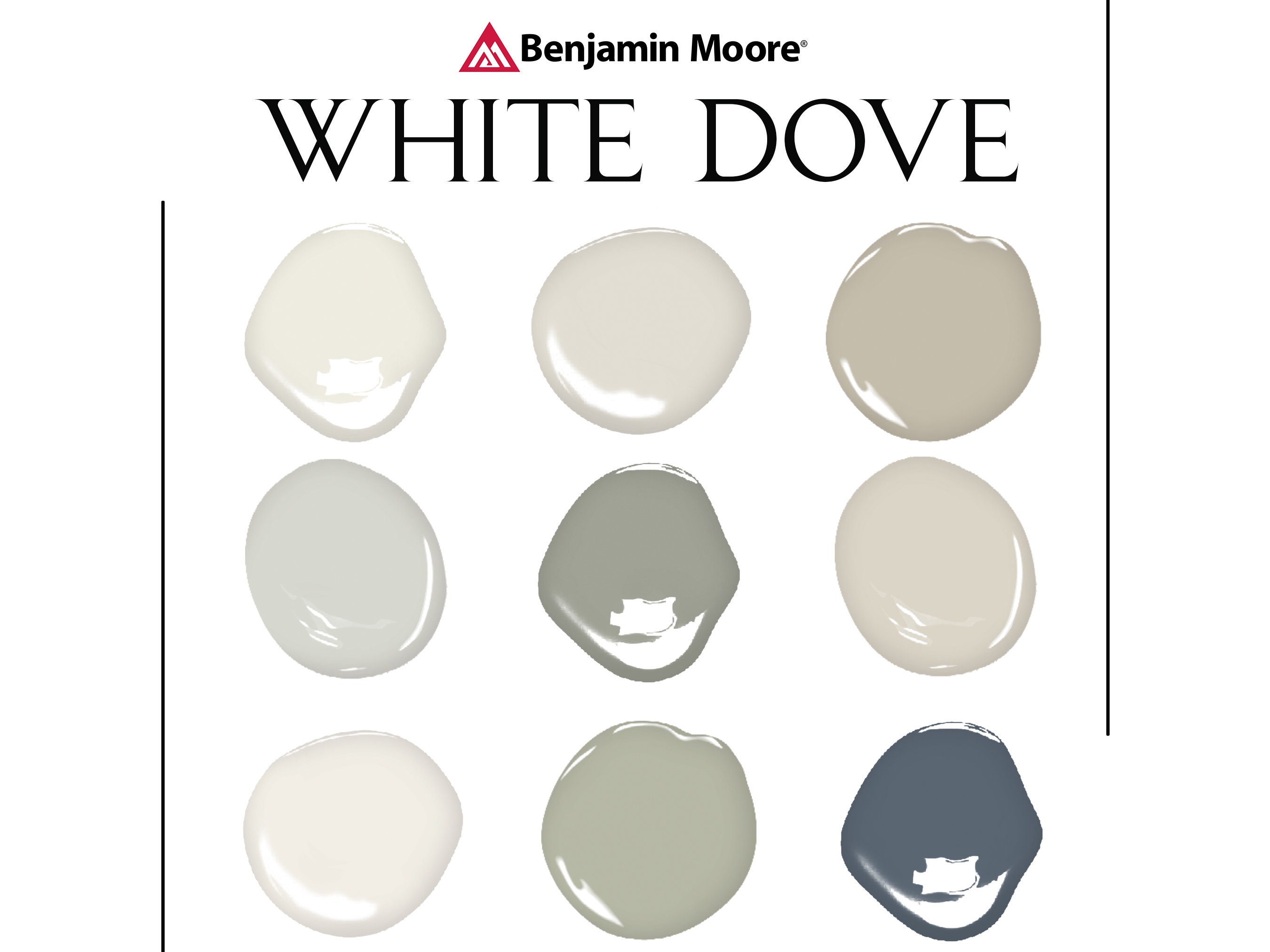 White Dove Paint Palette Benjamin Moore Color Palette White - Etsy Canada