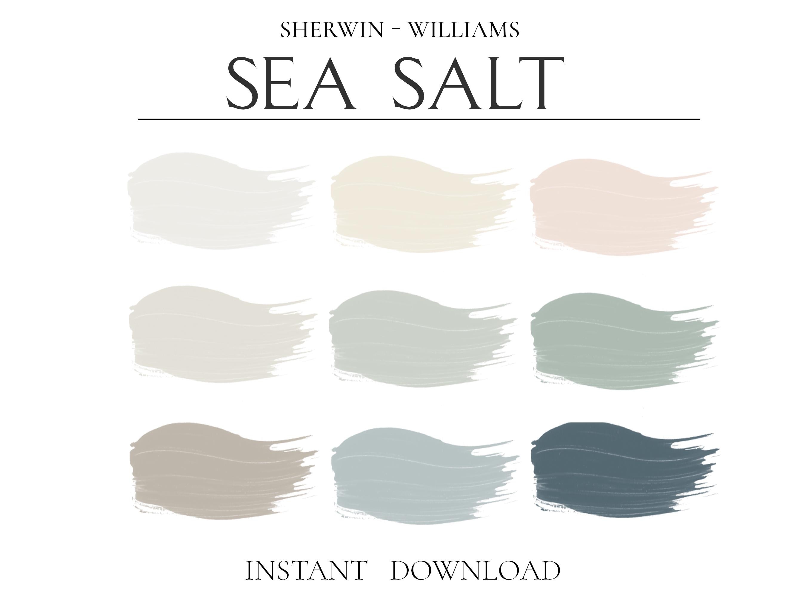 Sherwin Williams Sea Salt Paint Palette: Coastal Home Paint Color ...