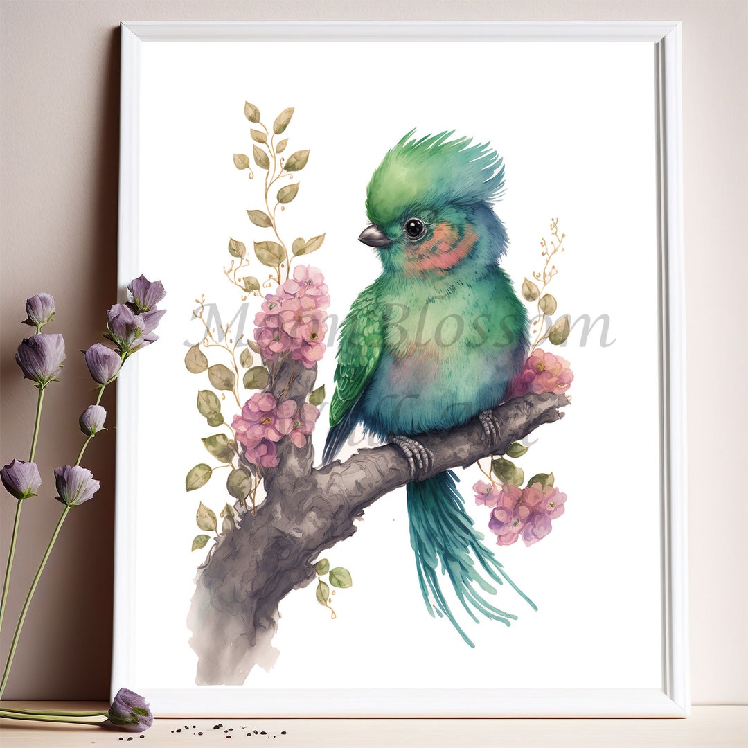 Exotic Quetzal Printable Art, Quetzal Wall Art Print - Etsy