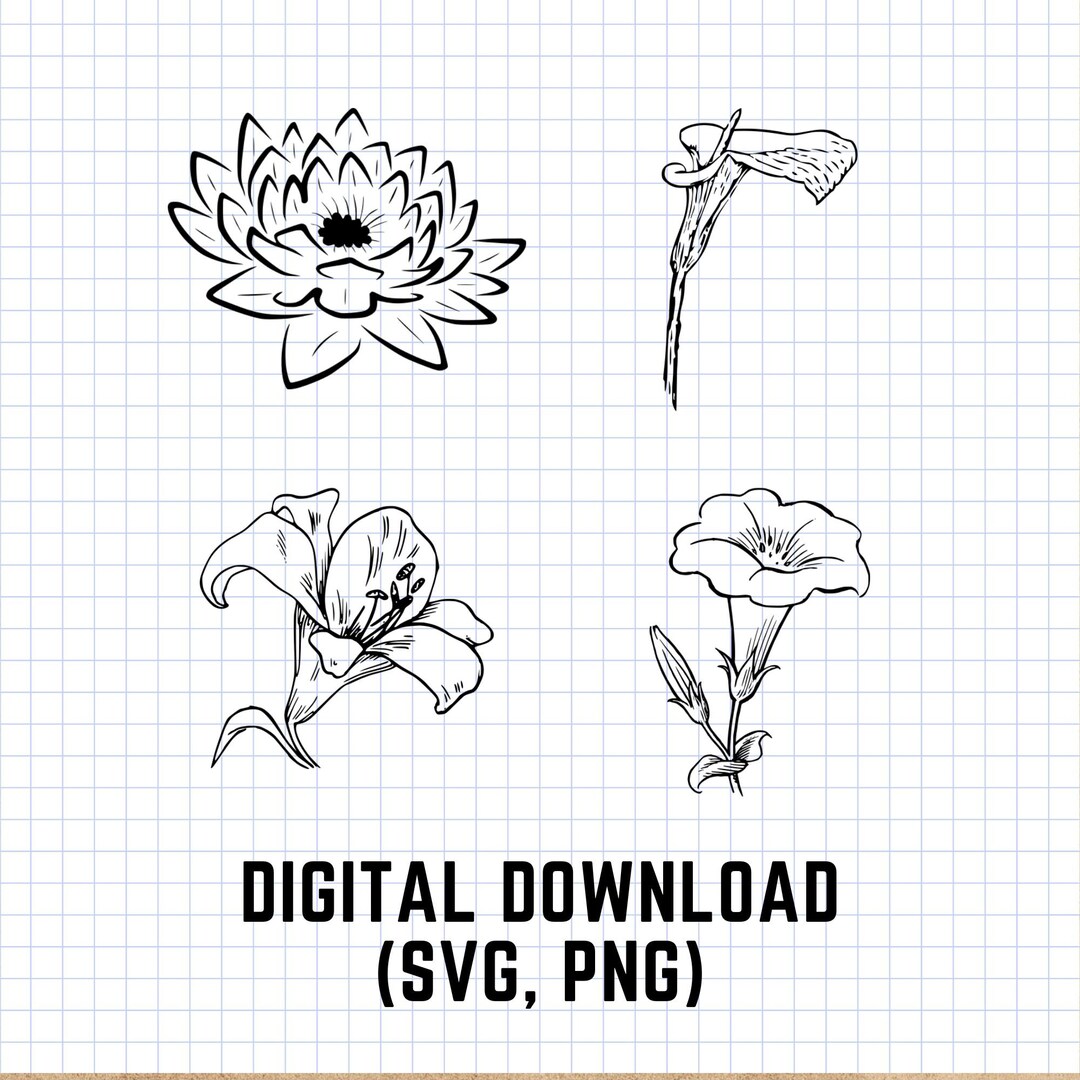 Lilies Outlines High Resolution Downloadable Art, Lilies Printables ...