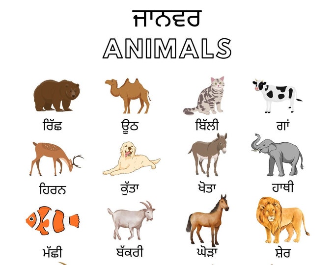 Punjabi Animals Chart DIGITAL DOWNLOAD ONLY - Etsy