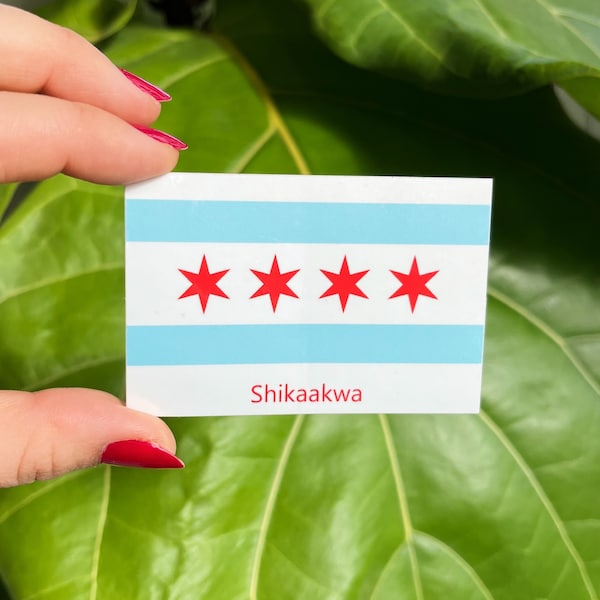 Chicago Flag Stickers - Etsy