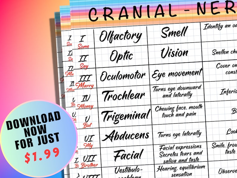 Master Cranial Nerves With BONUS MNEMONIC, Medic Notes, Anatomy and ...