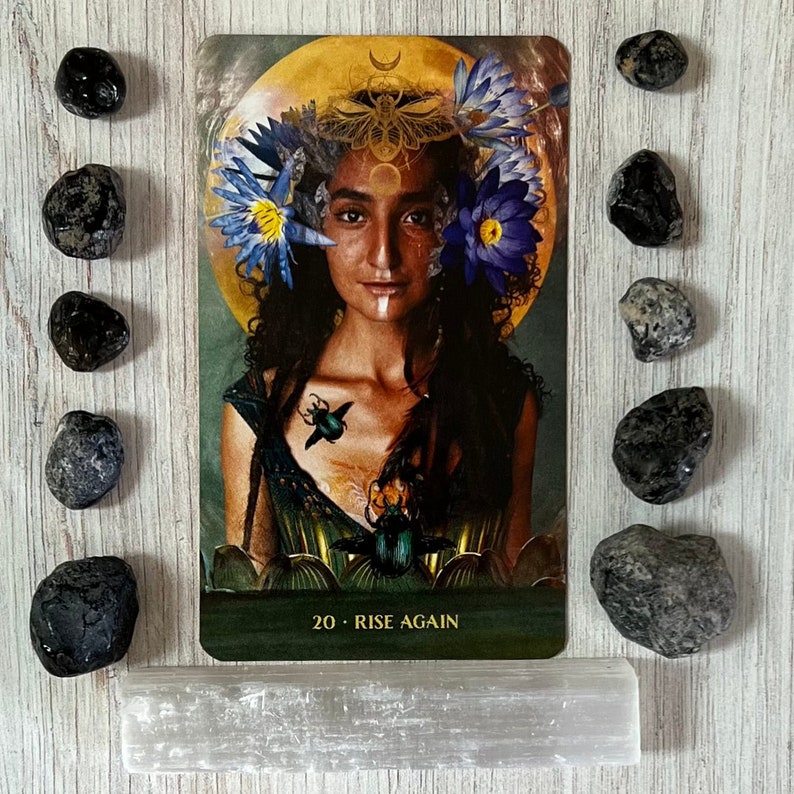 Wild Woman Rising Oracle Cards and Guidebook by Anti Sullins - Etsy