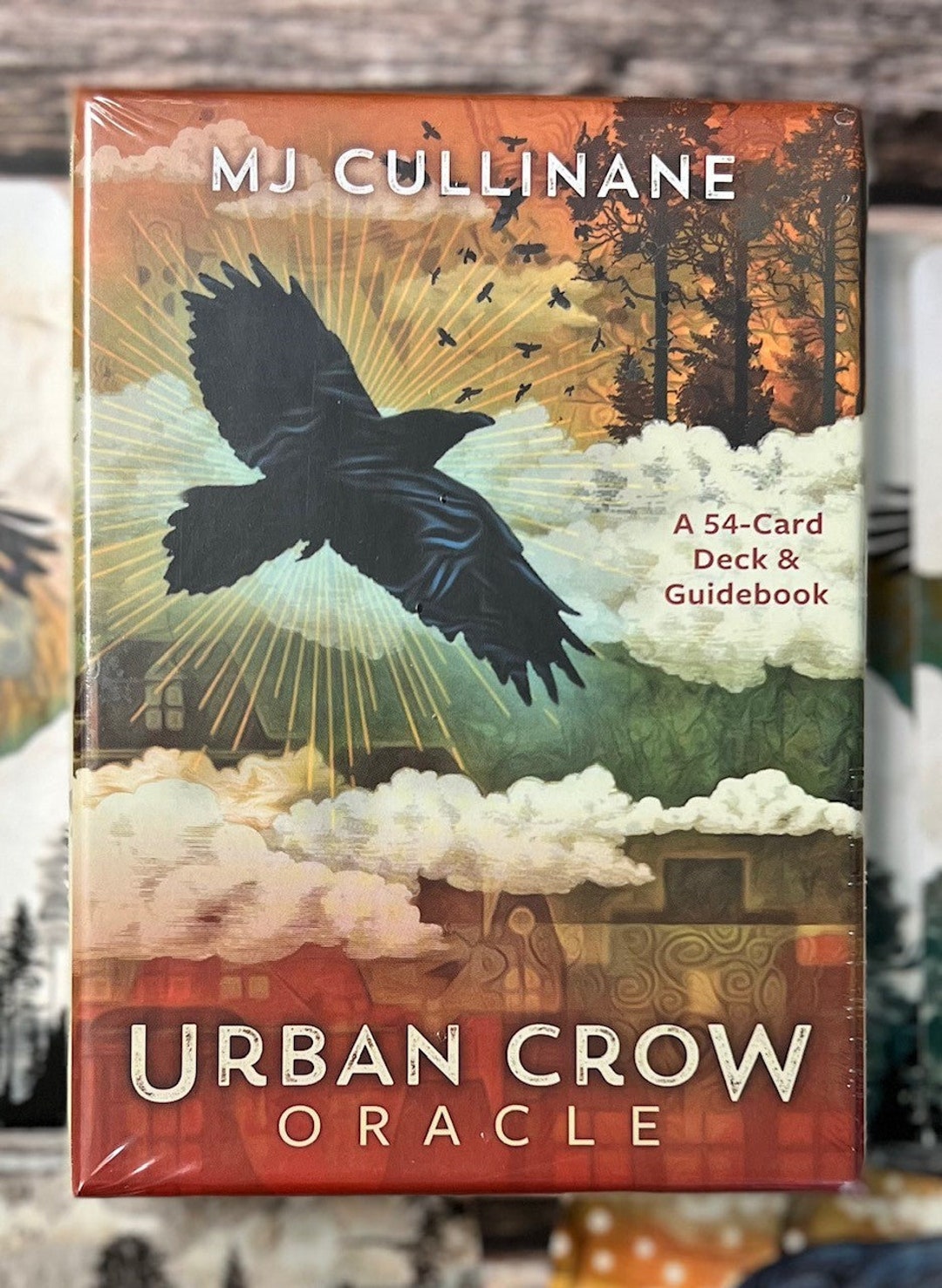Urban Crow Oracle Deck and Guidebook - Etsy