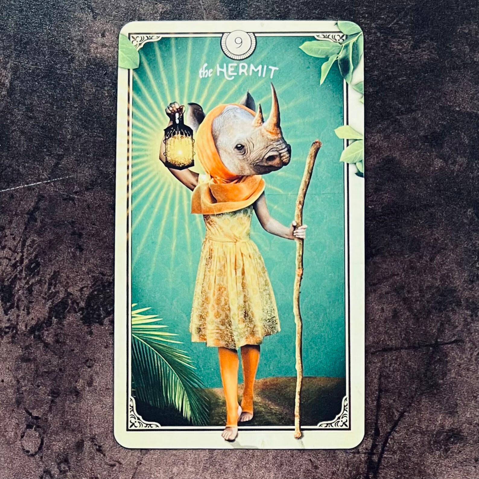 The Tarot of Curious Creatures Deck and Guidebook - Etsy