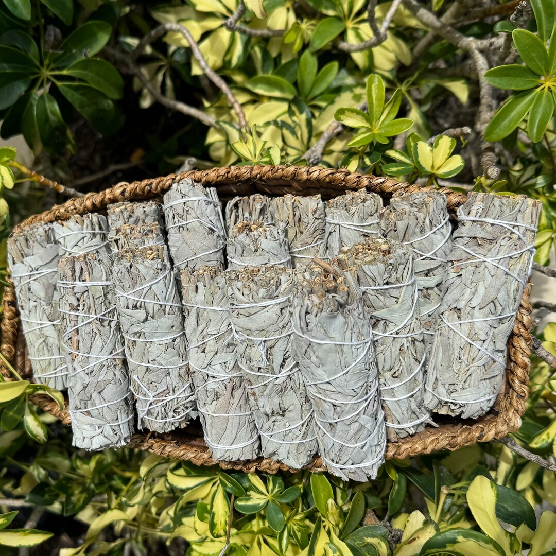 Premium White Sage Smudge Sticks Bulk Wholesale Packs 4" White Sage ...