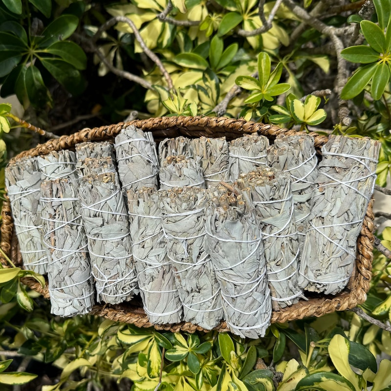 Sage Bundle - Etsy