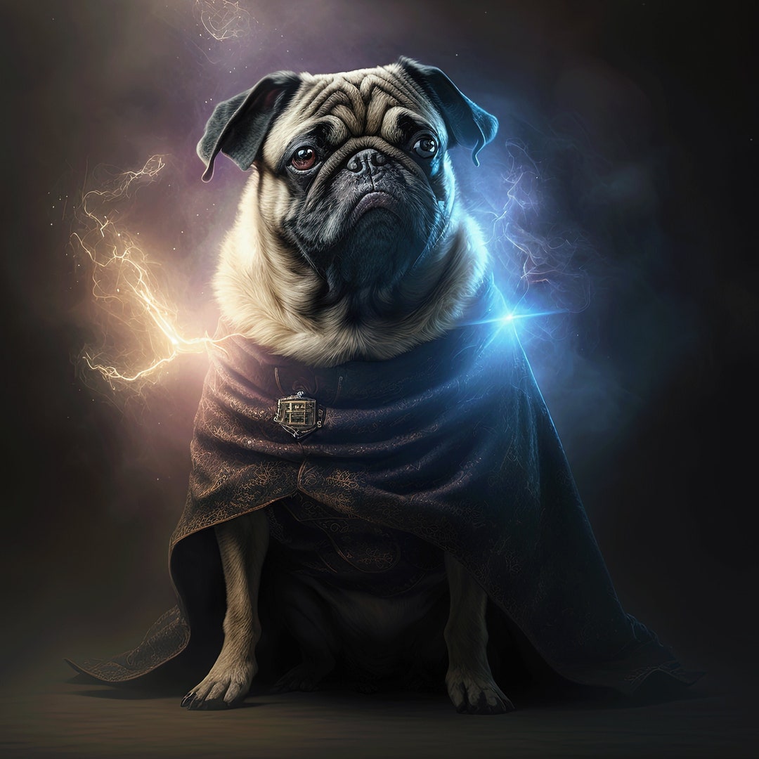 Pug Wizard - Etsy