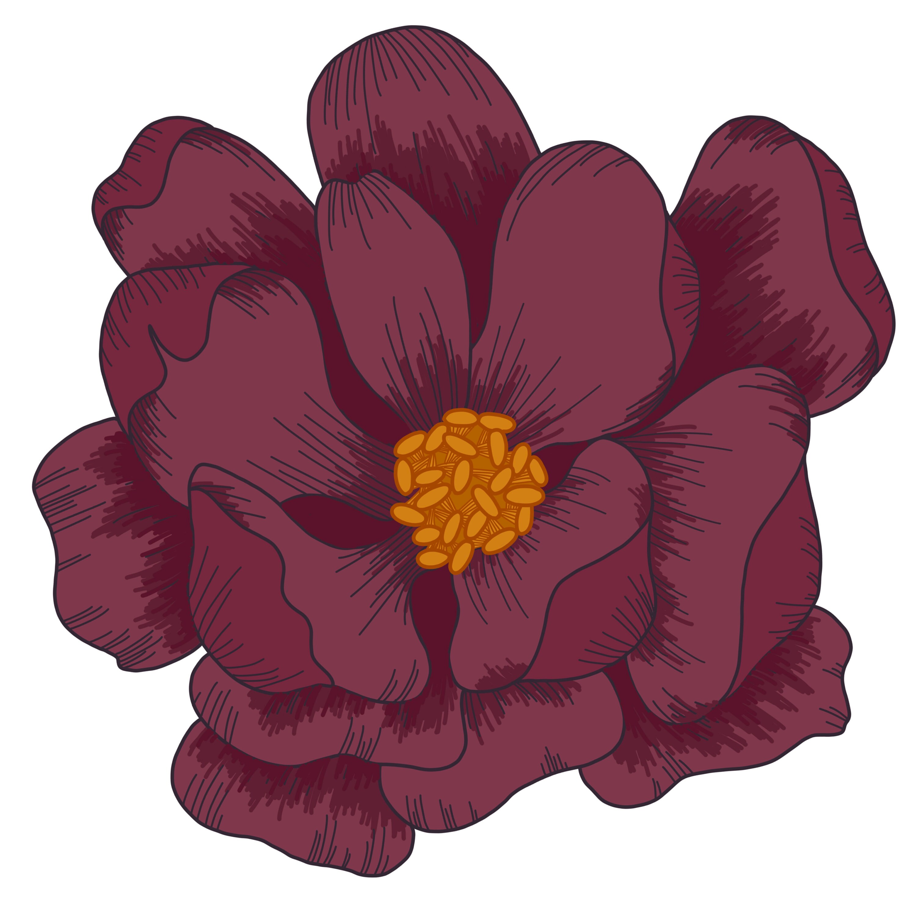 Peony Vinyl Sticker Gift, Laptop Sticker, Waterbottle Sticker ...