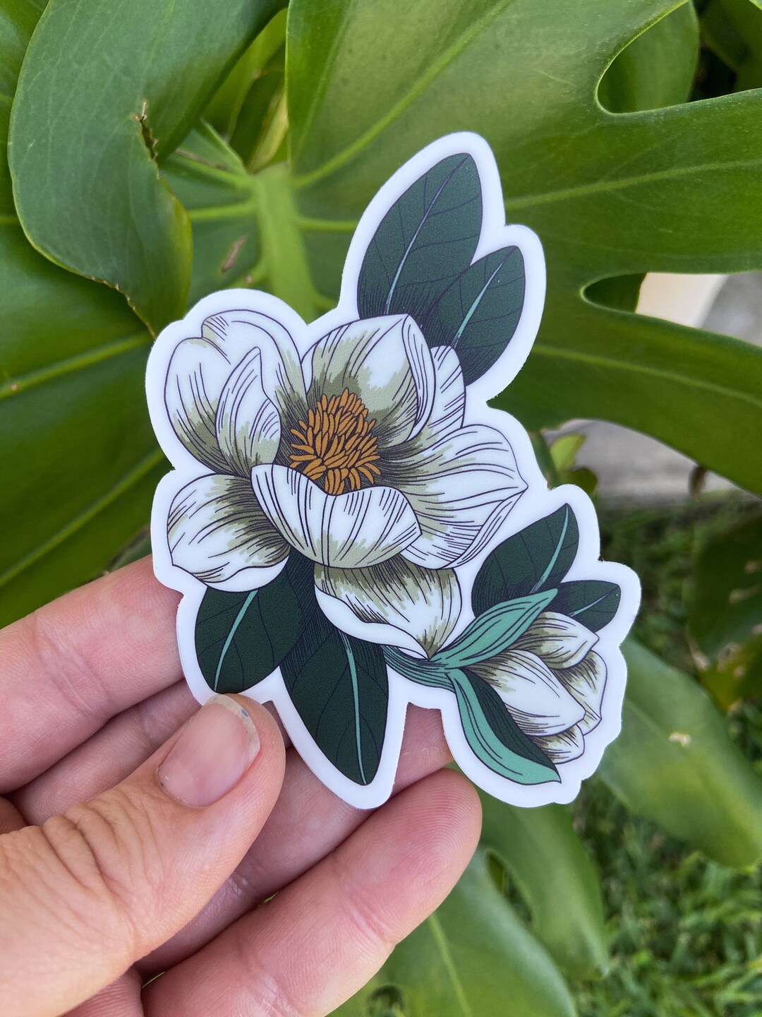 Magnolia Sticker - Gift, Laptop Waterbottle Sticker, Waterproof, Shark ...