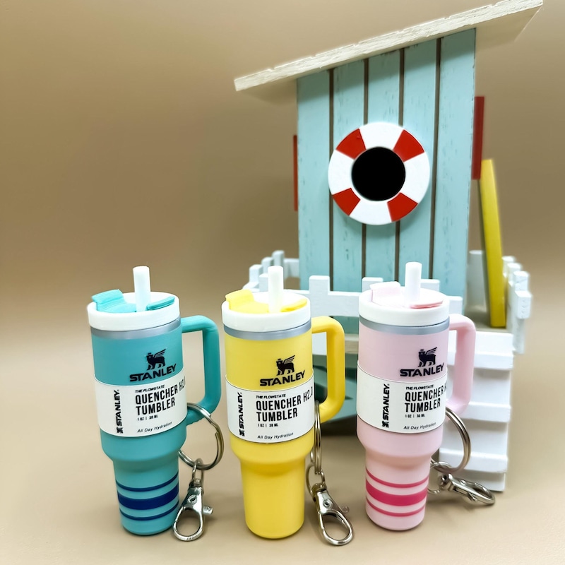 Striped Stanley Cups - Etsy