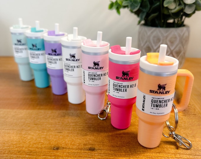 Mini Stanley Keychain - Etsy