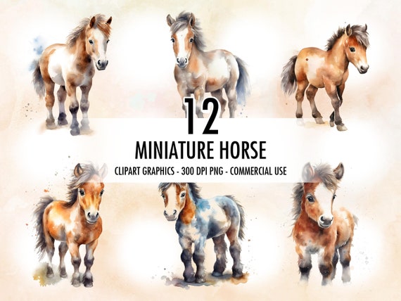 Miniature Horse Clipart