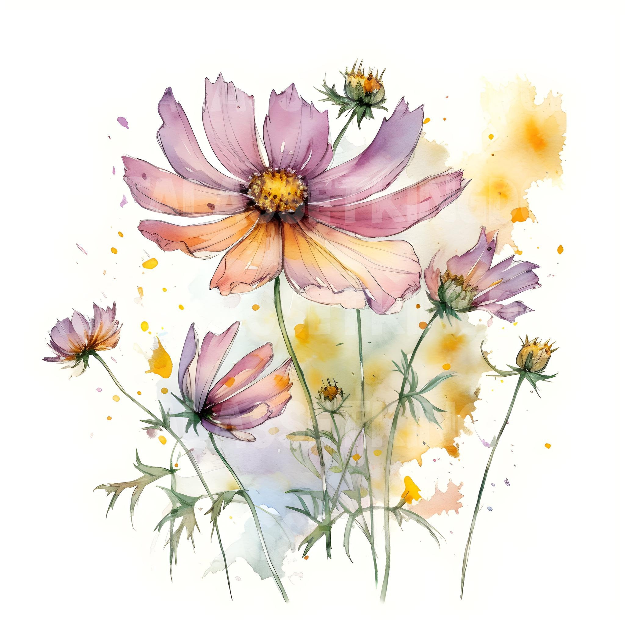 Cosmos Clipart 12 High Quality Pngs for Commercial Use - Etsy