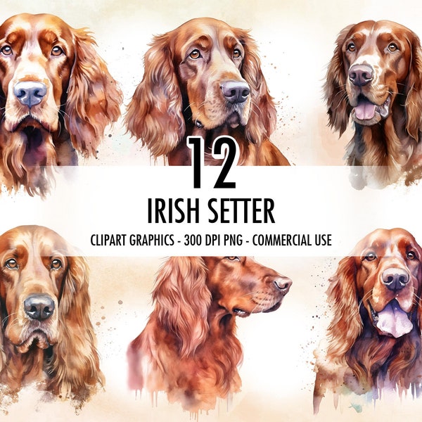 Irish Setter Art - Etsy
