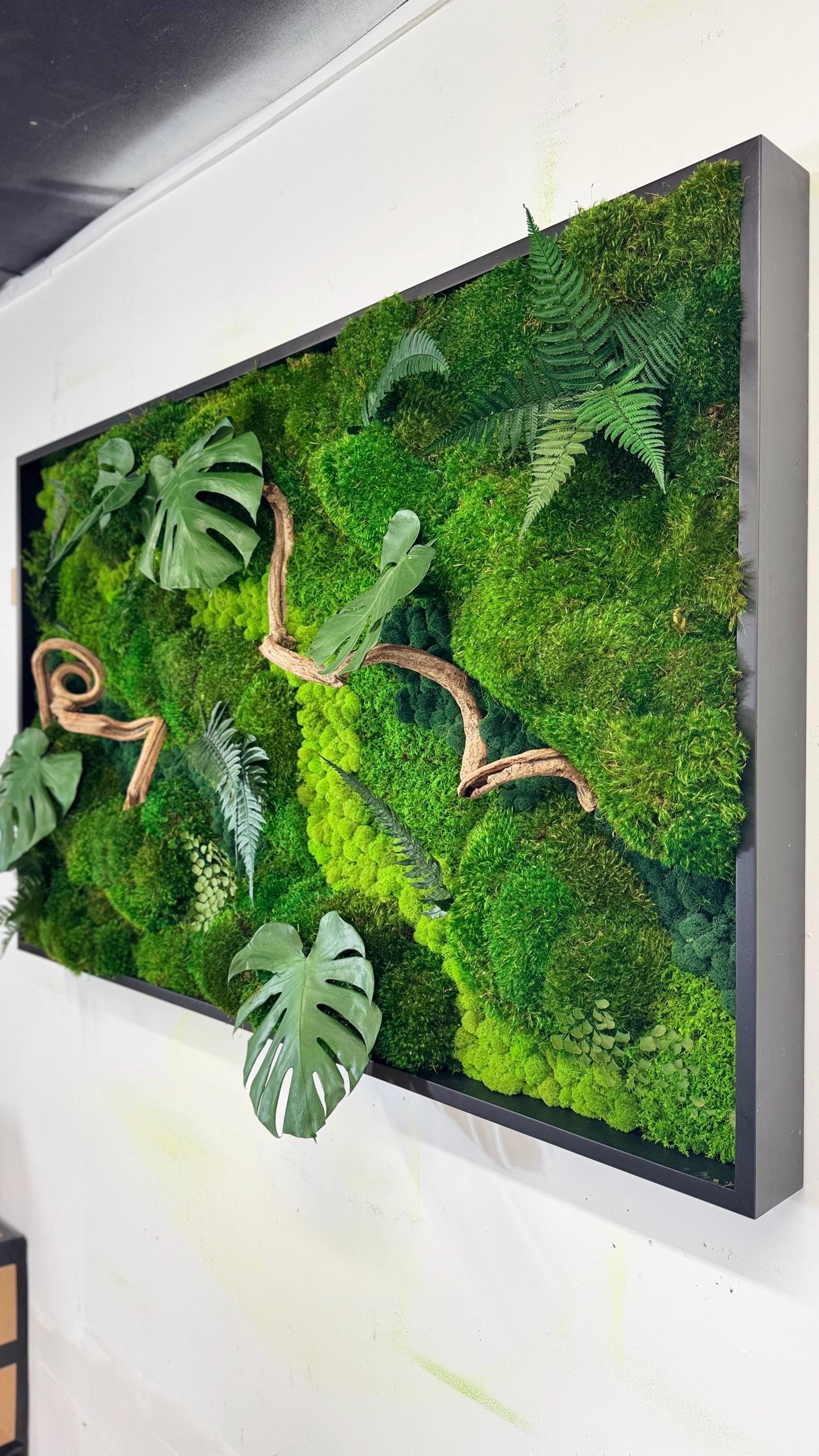 Preserved Moss Terrarium: Vertical Rainforest Wall Art by James Ammann ...