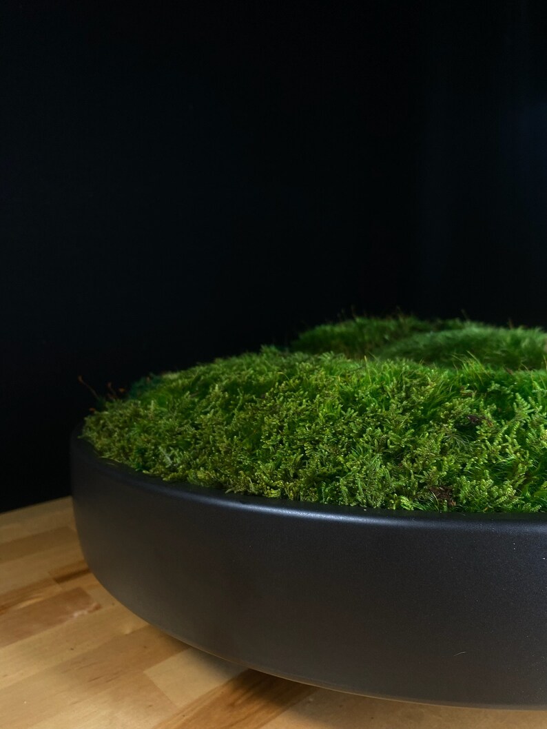 Decorative Trays Black Moss Bowl Moss Gifts for Centerpiece Home Office ...