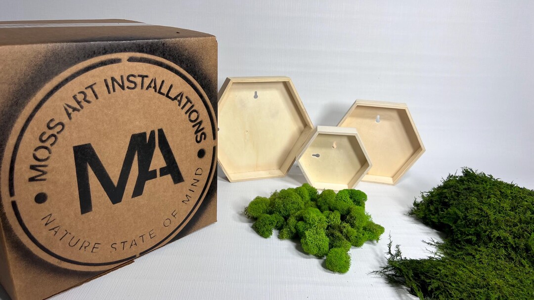 DYI Moss Art Kits - Etsy