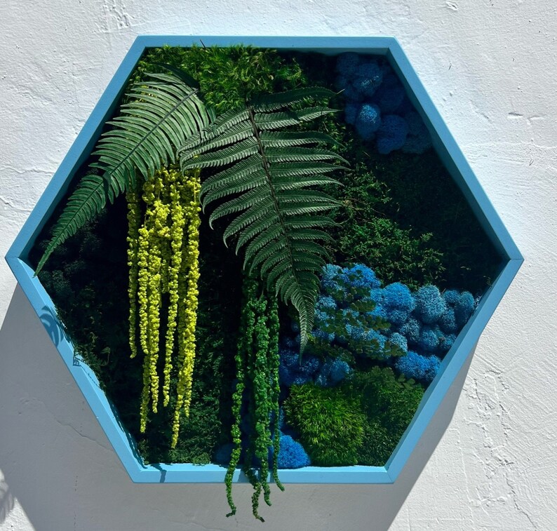 Botanical Garden Hexagon Moss Wall Art Decor Etsy Art Wall Hanging ...