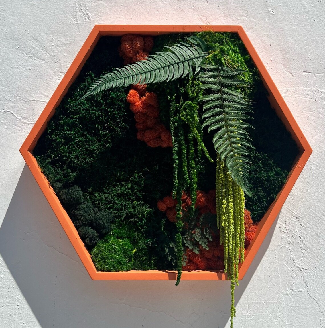 Botanical Garden Hexagon Moss Wall Art Decor Etsy Art Wall Hanging ...