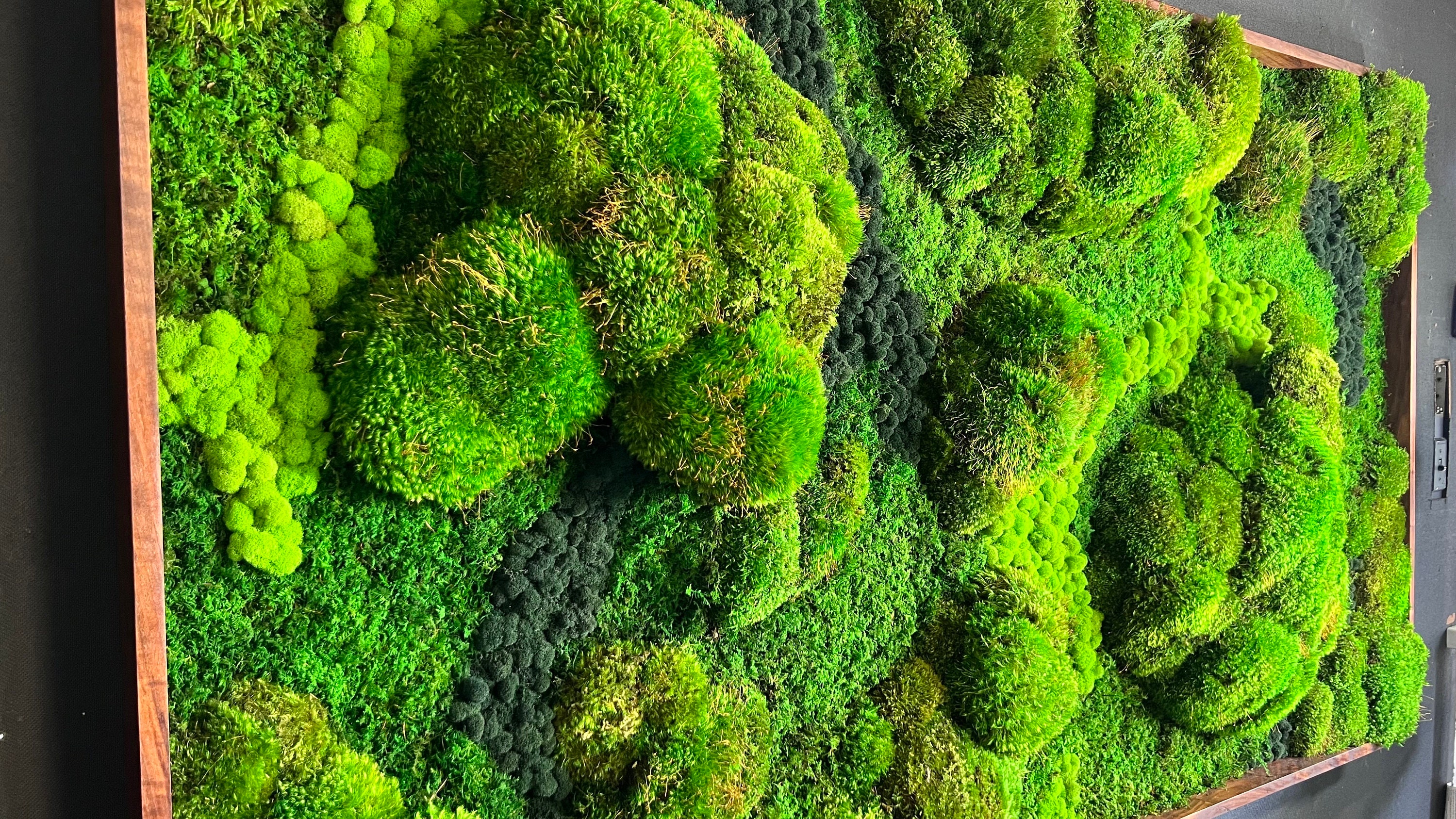 Majestic Moss Boulders - 3D Handcrafted Home Decor by Moss Art ...