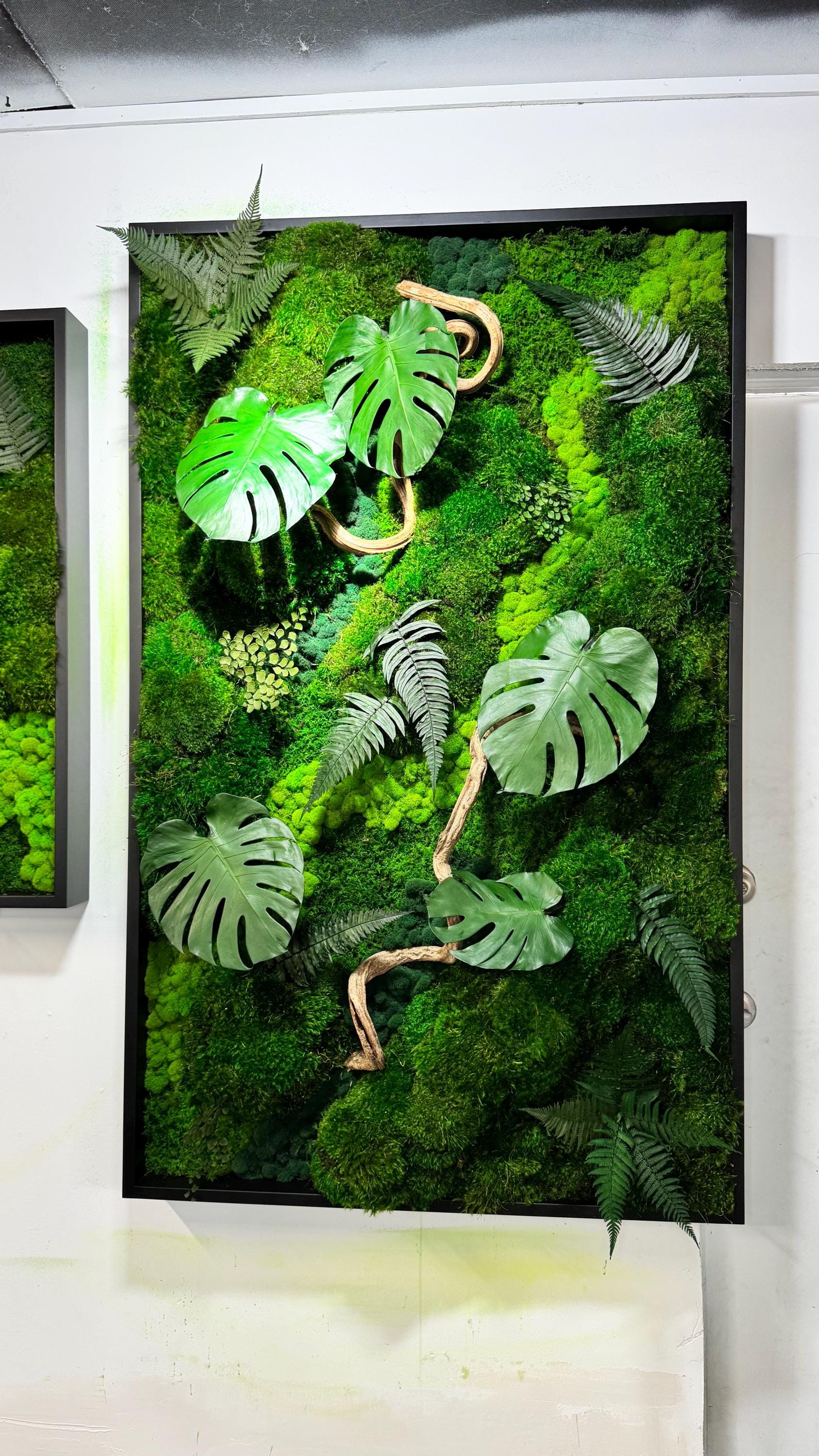 Preserved Moss Terrarium: Vertical Rainforest Wall Art by James Ammann ...