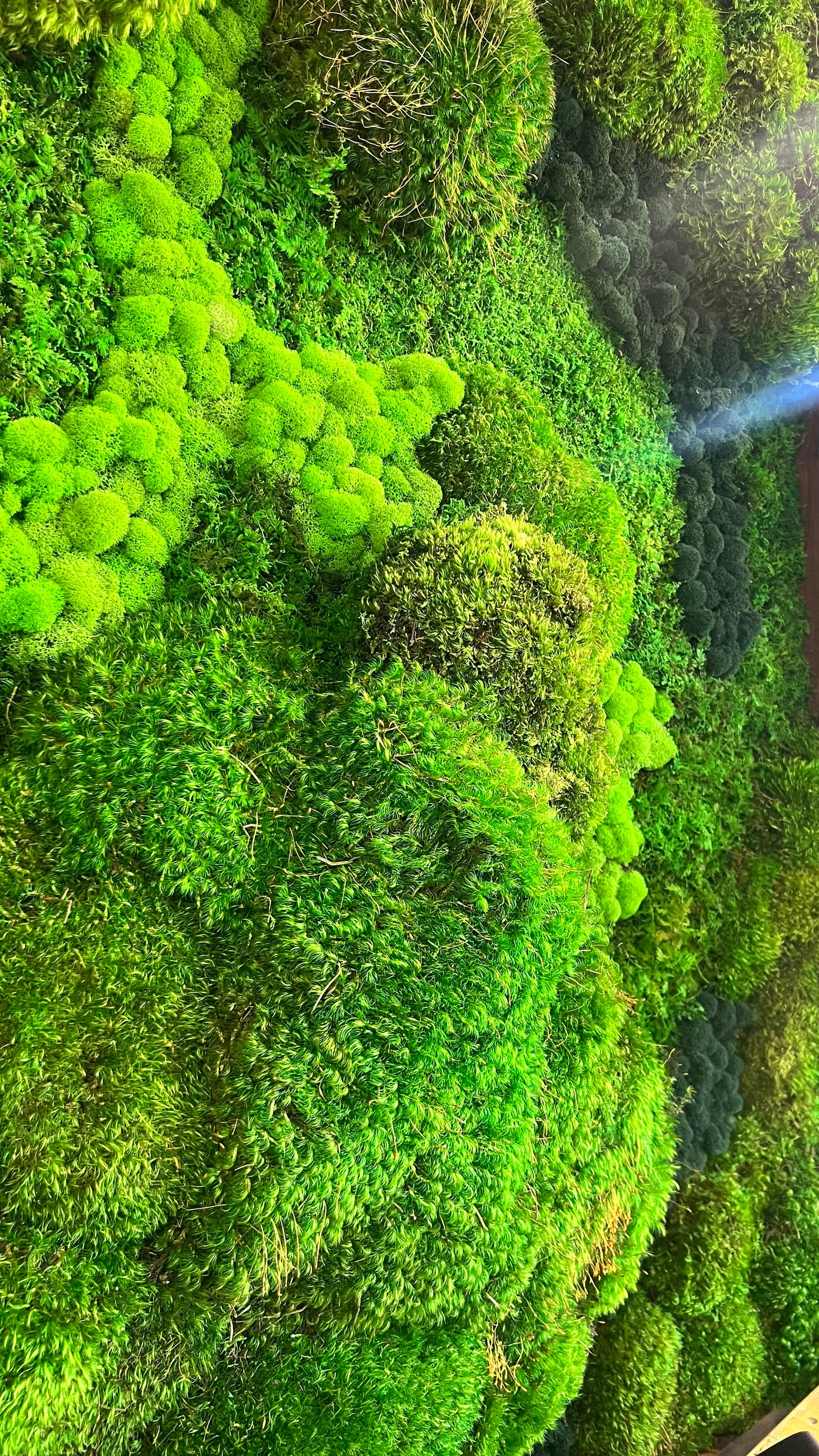 Majestic Moss Boulders - 3D Handcrafted Home Decor by Moss Art ...