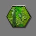 Botanical Garden Hexagon Moss Wall Art Decor Etsy Art Wall Hanging ...