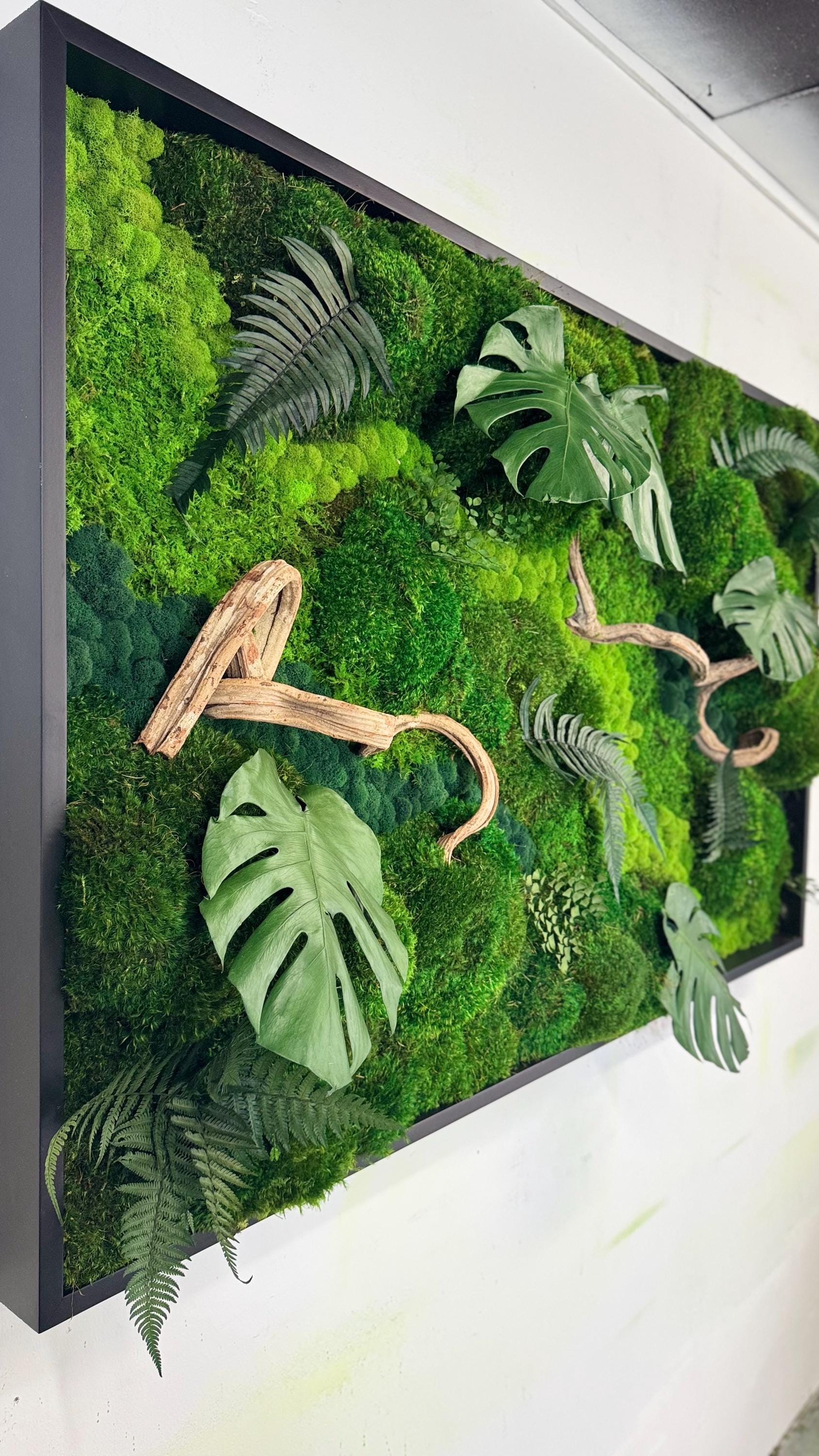 Preserved Moss Terrarium: Vertical Rainforest Wall Art by James Ammann ...