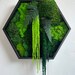 Botanical Garden Hexagon Moss Wall Art Decor Etsy Art Wall Hanging ...