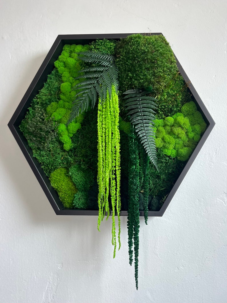 Botanical Garden Hexagon Moss Wall Art Decor Etsy Art Wall Hanging ...