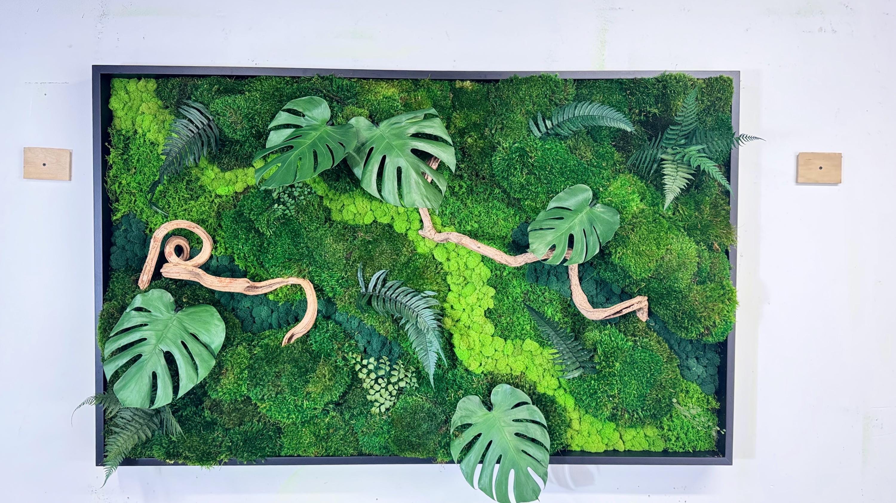 Preserved Moss Terrarium: Vertical Rainforest Wall Art by James Ammann ...
