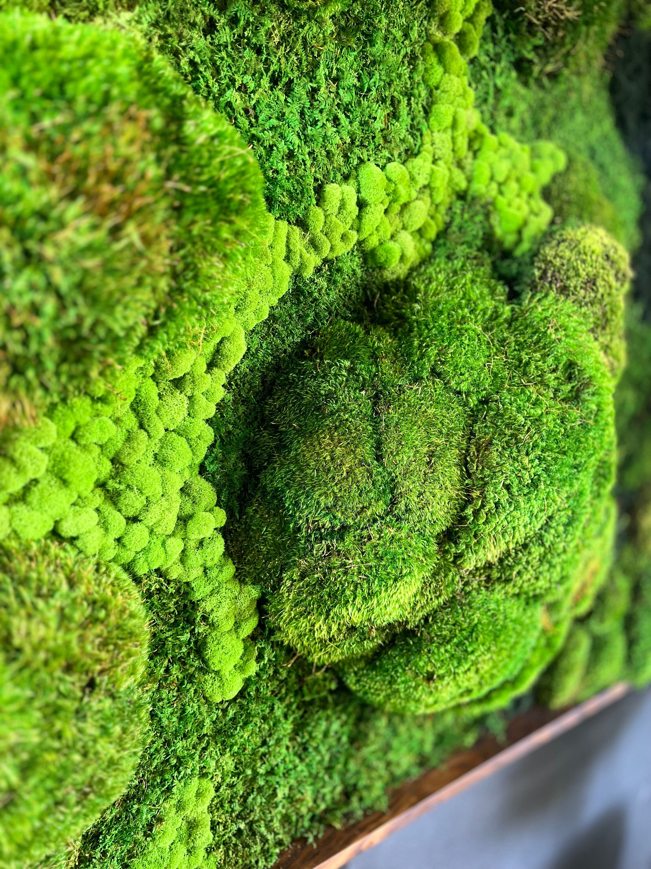 Majestic Moss Boulders - 3D Handcrafted Home Decor by Moss Art ...