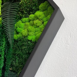 Botanical Garden Hexagon Moss Wall Art Decor Etsy Art Wall Hanging ...