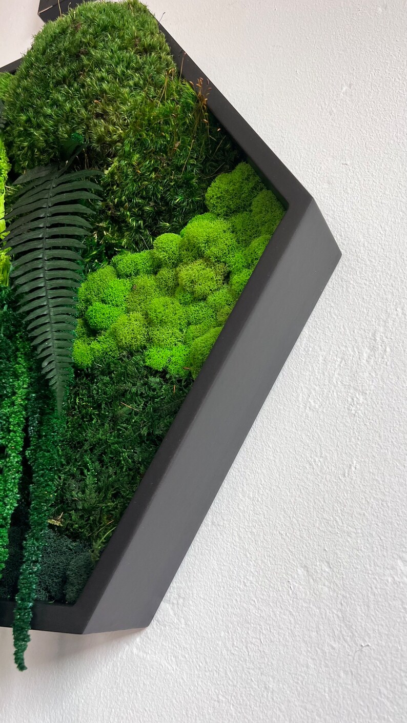 Botanical Garden Hexagon Moss Wall Art Decor Etsy Art Wall Hanging ...
