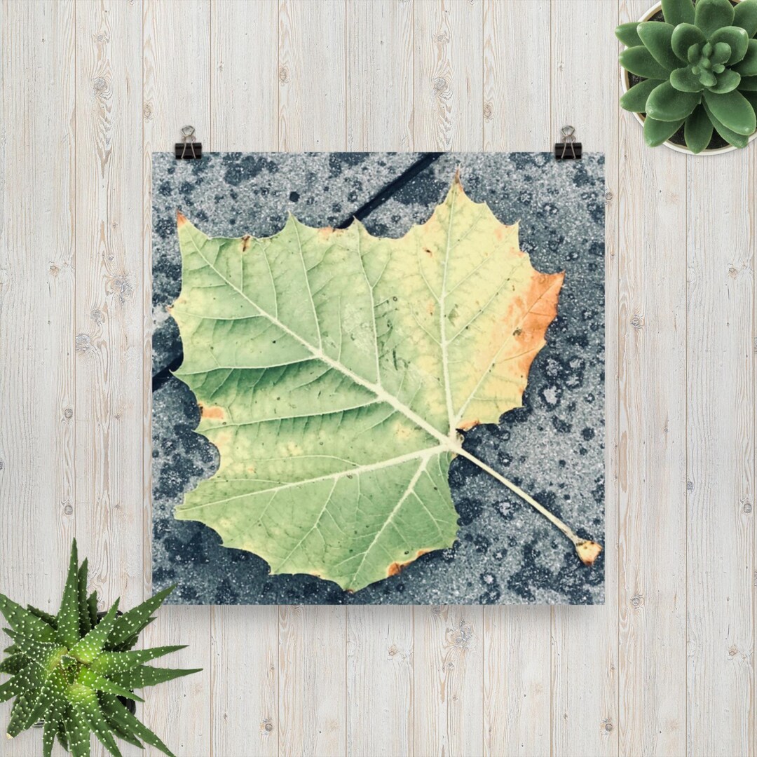 Autumn Leaf, Autumn Leaves Art Print, Fall Leaves Decor, Autumn Wall ...