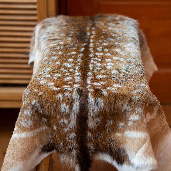Deer Hide - Etsy
