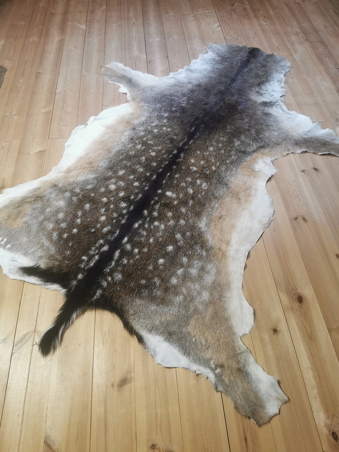 Fallow Deer Fur on Hide Natural Deer Hide European Fallow - Etsy
