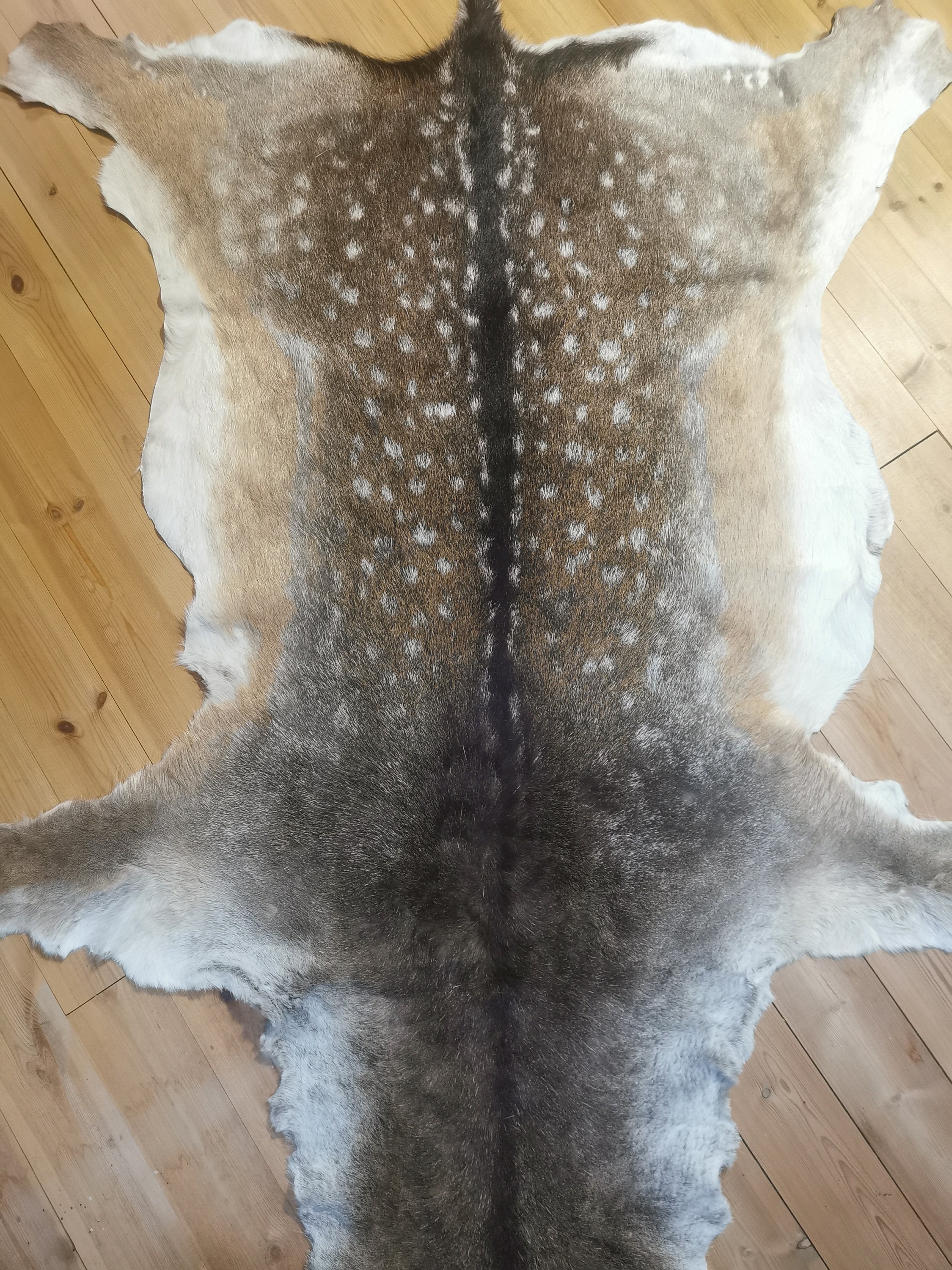 Fallow Deer Fur on Hide Natural Deer Hide European Fallow - Etsy