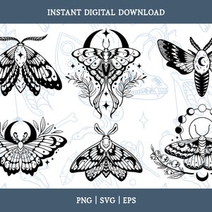 Celestial Butterfly and Moth SVG/PNG/EPS File, Luna Moth Svg, Boho Moth ...
