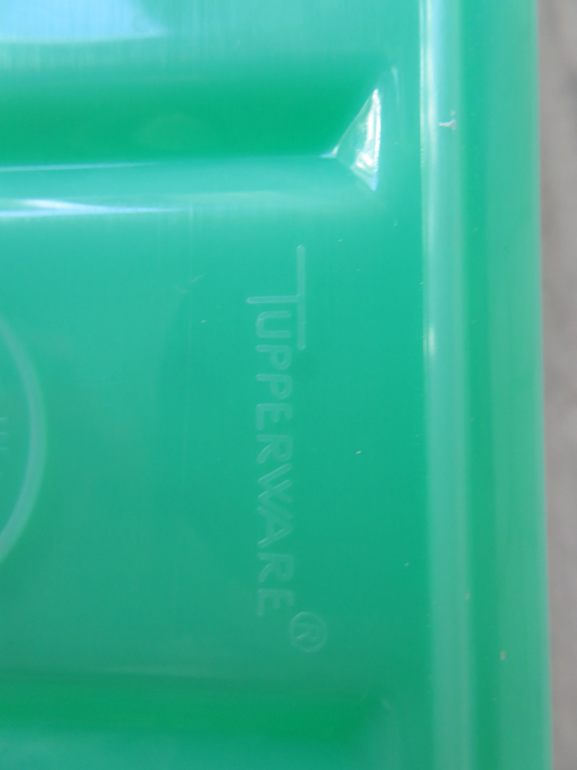 Tupperware, Green Celery Keeper, for Celery, Vegetables, Cookies ...