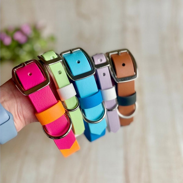 Biothane Dog Collar - Etsy
