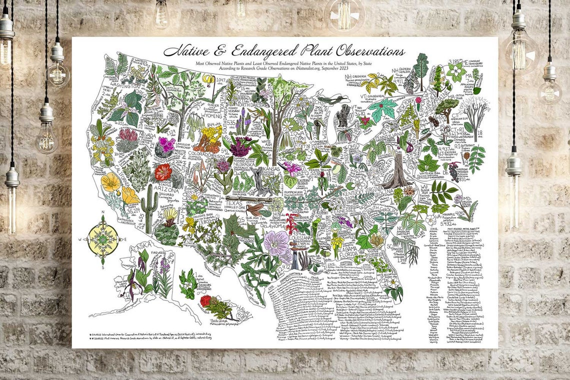 US Native & Endangered Plant Map - Botanical Map - 13x19, 19x27 - Etsy
