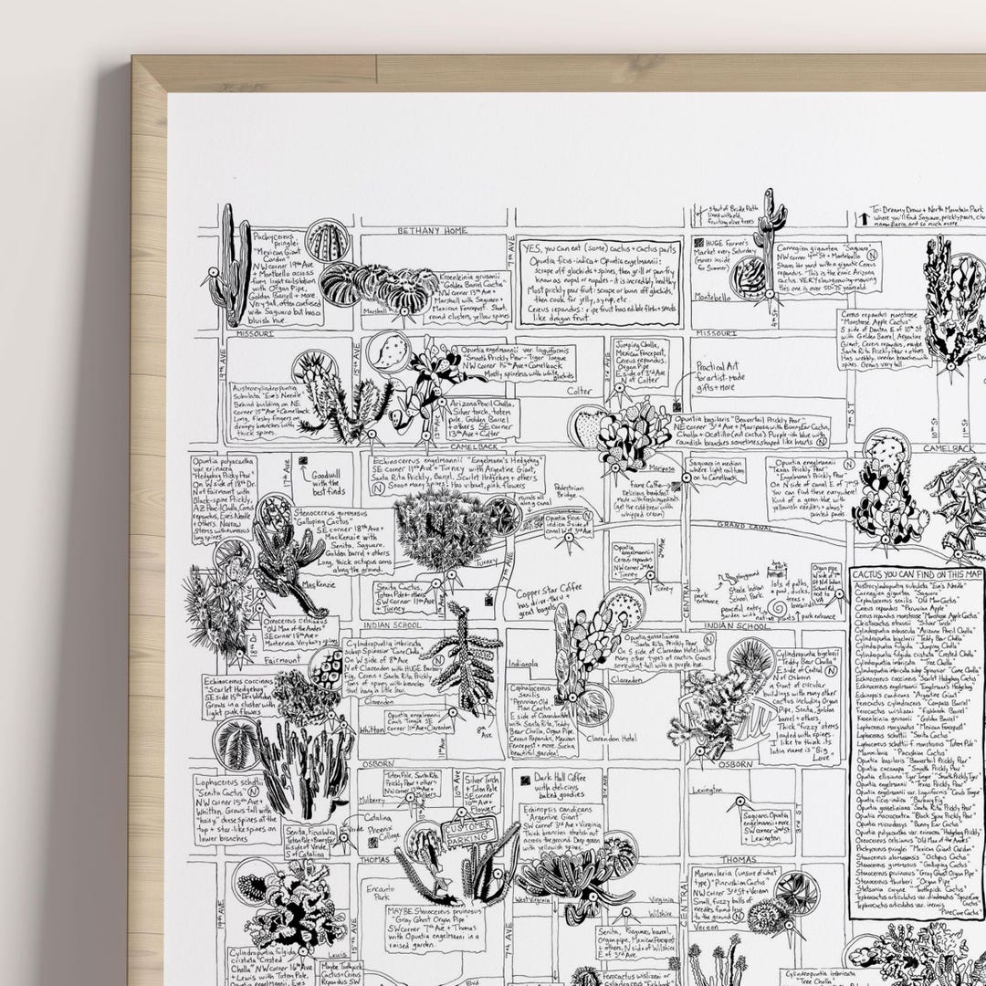 Illustrated Cactus Wall Map - Phoenix Cactus Map, Botanical Wall Map ...