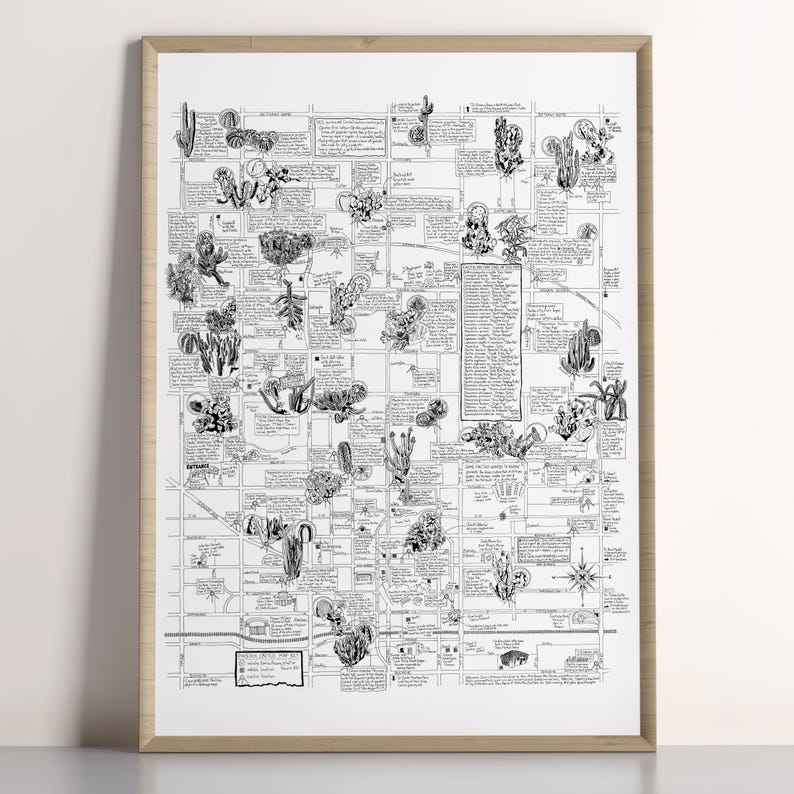 Illustrated Cactus Wall Map - Phoenix Cactus Map, Botanical Wall Map ...