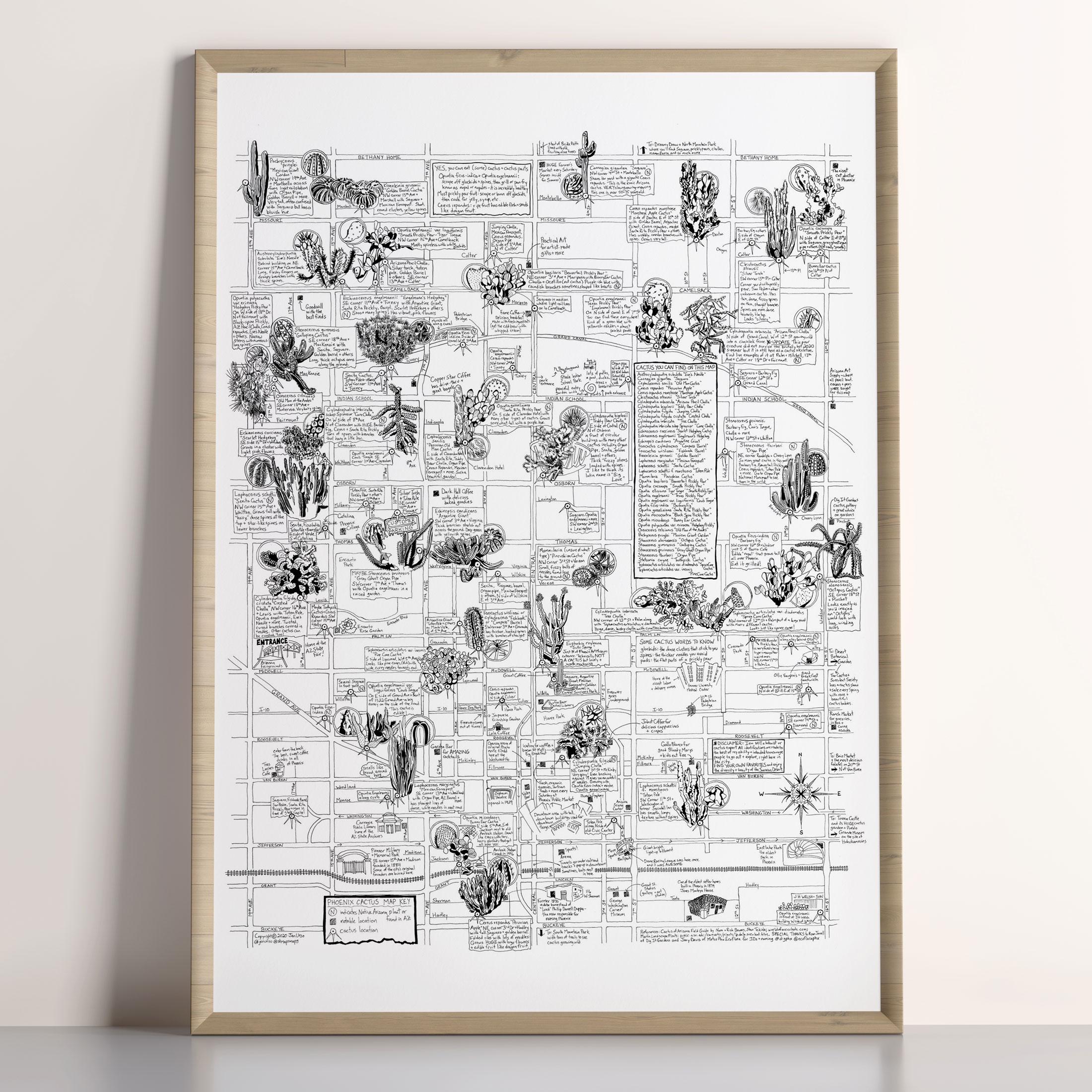 Illustrated Cactus Wall Map - Phoenix Cactus Map, Botanical Wall Map ...